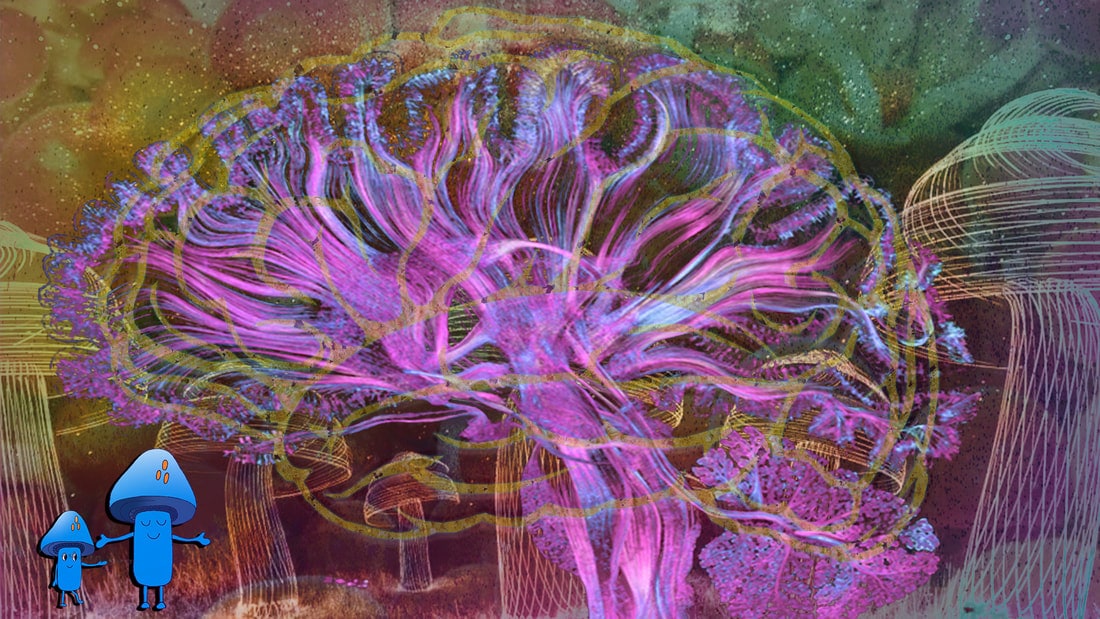 “Breakthrough” Psilocybin compound fast-tracked by FDA - Wholecelium