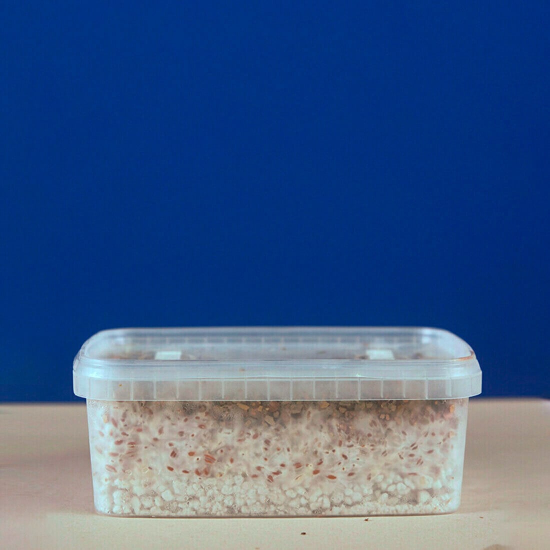 Magic Mushroom Grow Kit | Shrooma 'OHM' Kit | Wholecelium