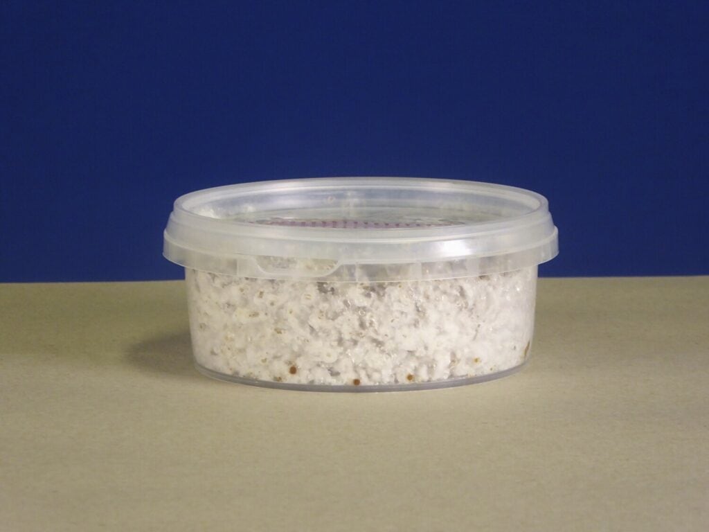 Magic Mushroom Grow Kit | Shrooma 'X' Kit | Wholecelium