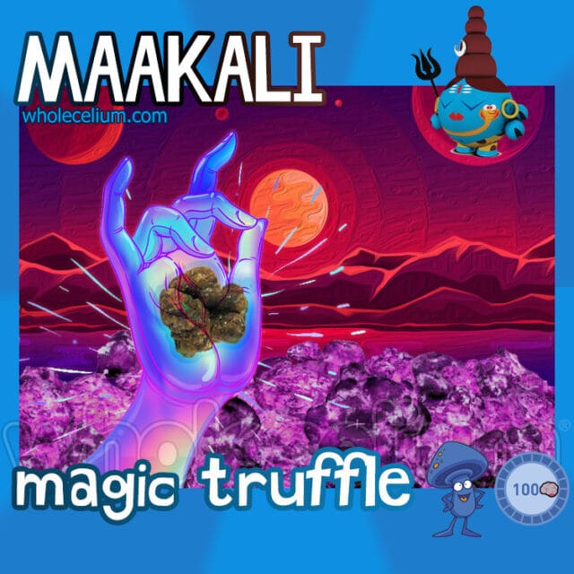 Buy magic truffles: natural farmed psilocybe | WholeCelium