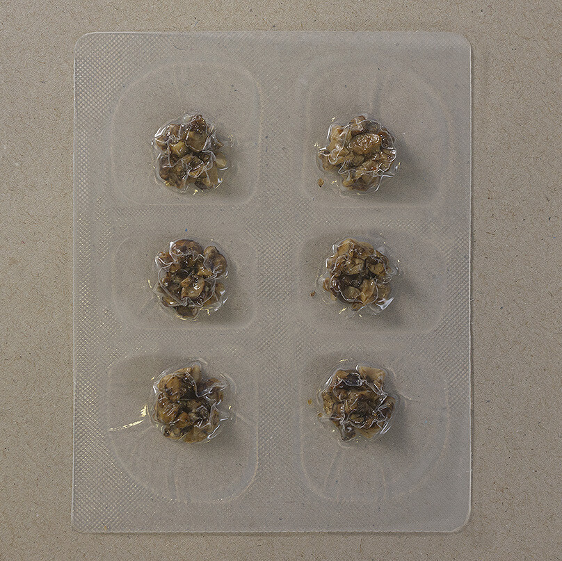 MICRODOSING XP Psilocybin