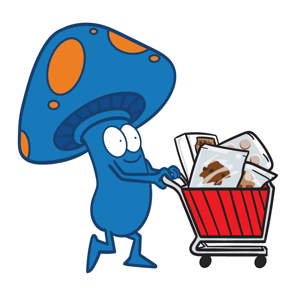 LSD vs Shrooms - Two Psychedelic Heavy-Weights!