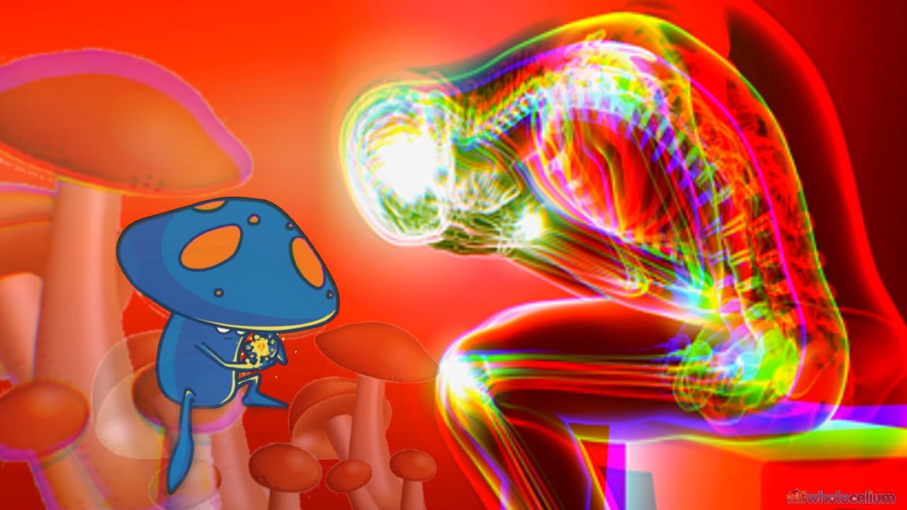 Can Magic Mushrooms Treat Physical Pain? - Psilocybin As Pain Relief