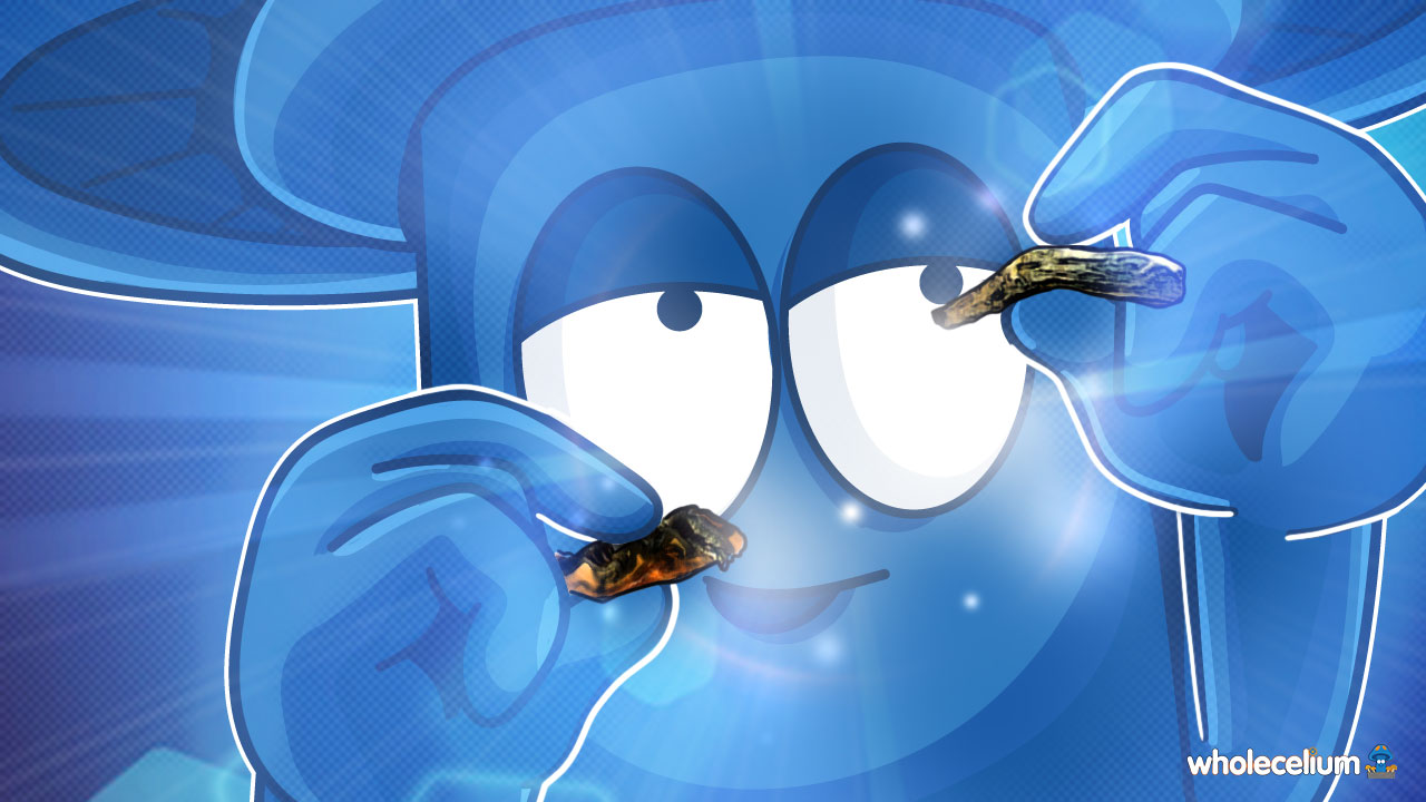 Magic Mushrooms: What's the Difference Between Caps and Stems?