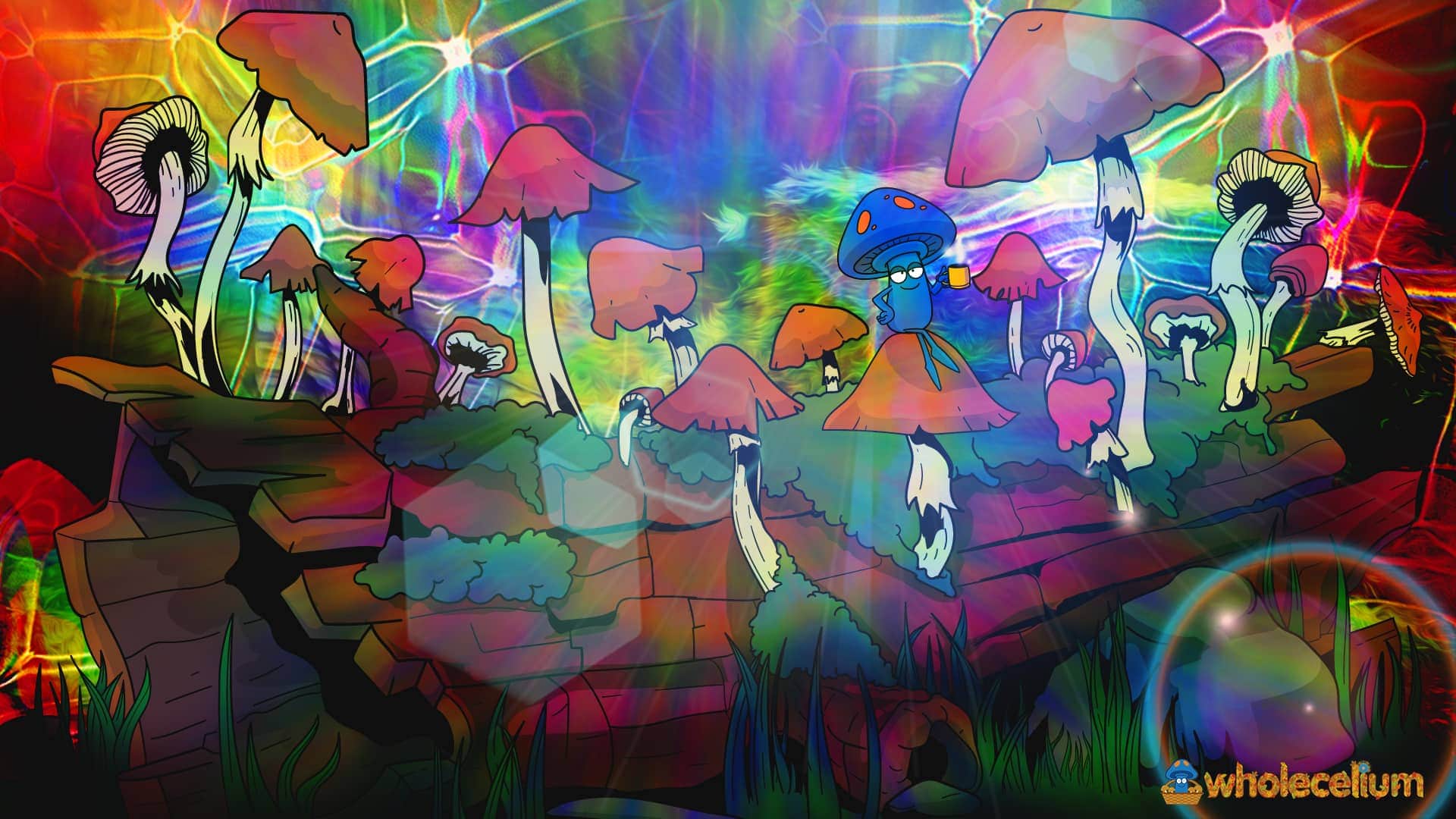 9/20: A Day In The Life Of A Magic Mushroom - International Shroom Day!